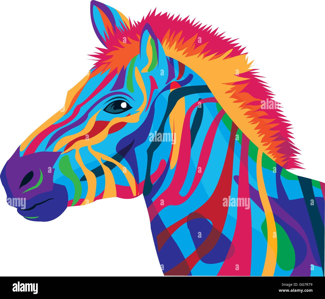 colorful zebra drawing icon Stock Vector Image & Art - Alamy