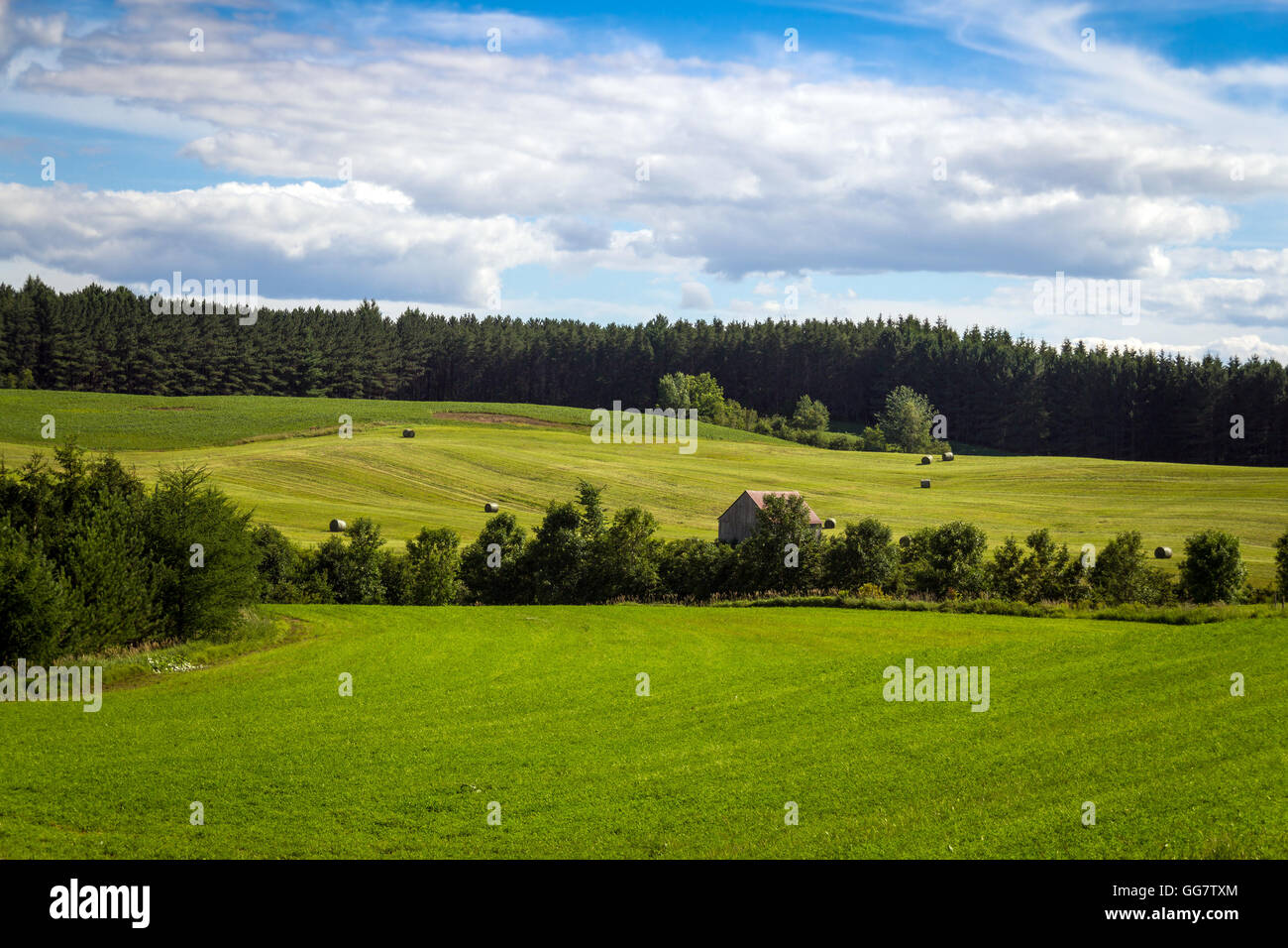 grass field landscape blue sky quebec canada Stock Photo - Alamy