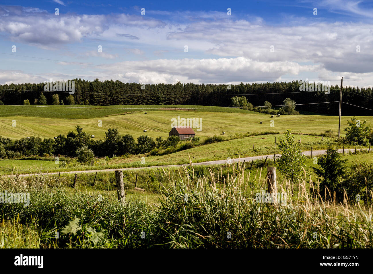 grass field landscape blue sky quebec canada Stock Photo - Alamy