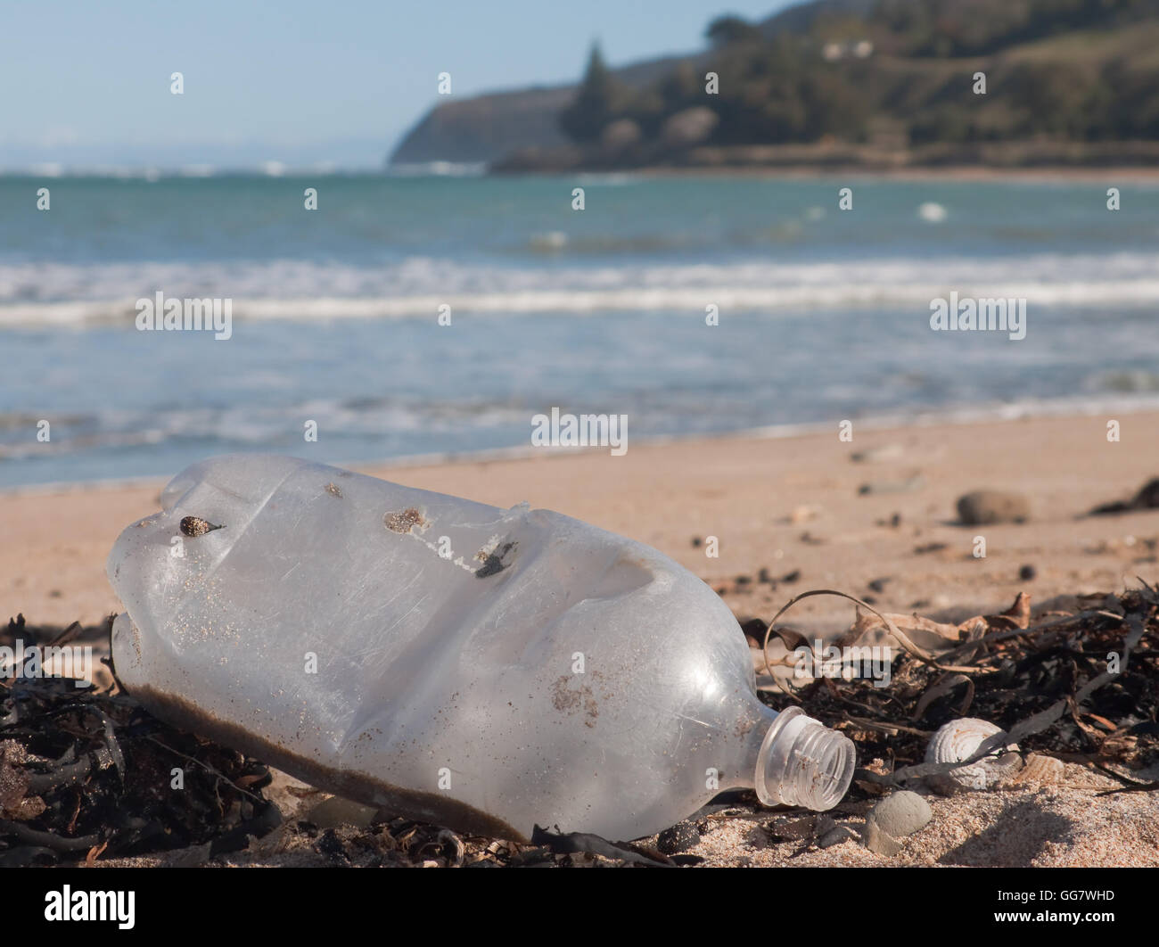 bottles and other plastic littered on a beach in Gisborne, New Zealand ...