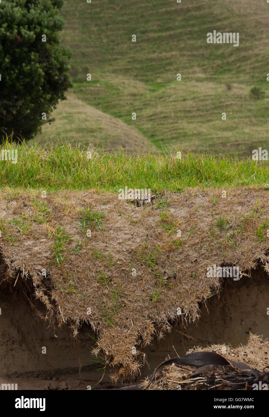 Subsidence farming hi-res stock photography and images - Alamy