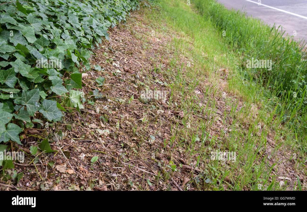 Berm on the side of the street freshly mowed Stock Photo - Alamy