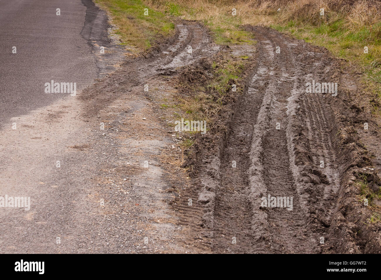 tyre tread mark in mud on the side of a road Stock Photo - Alamy