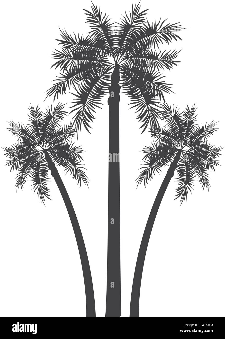 palm tree icon Stock Vector Image & Art - Alamy