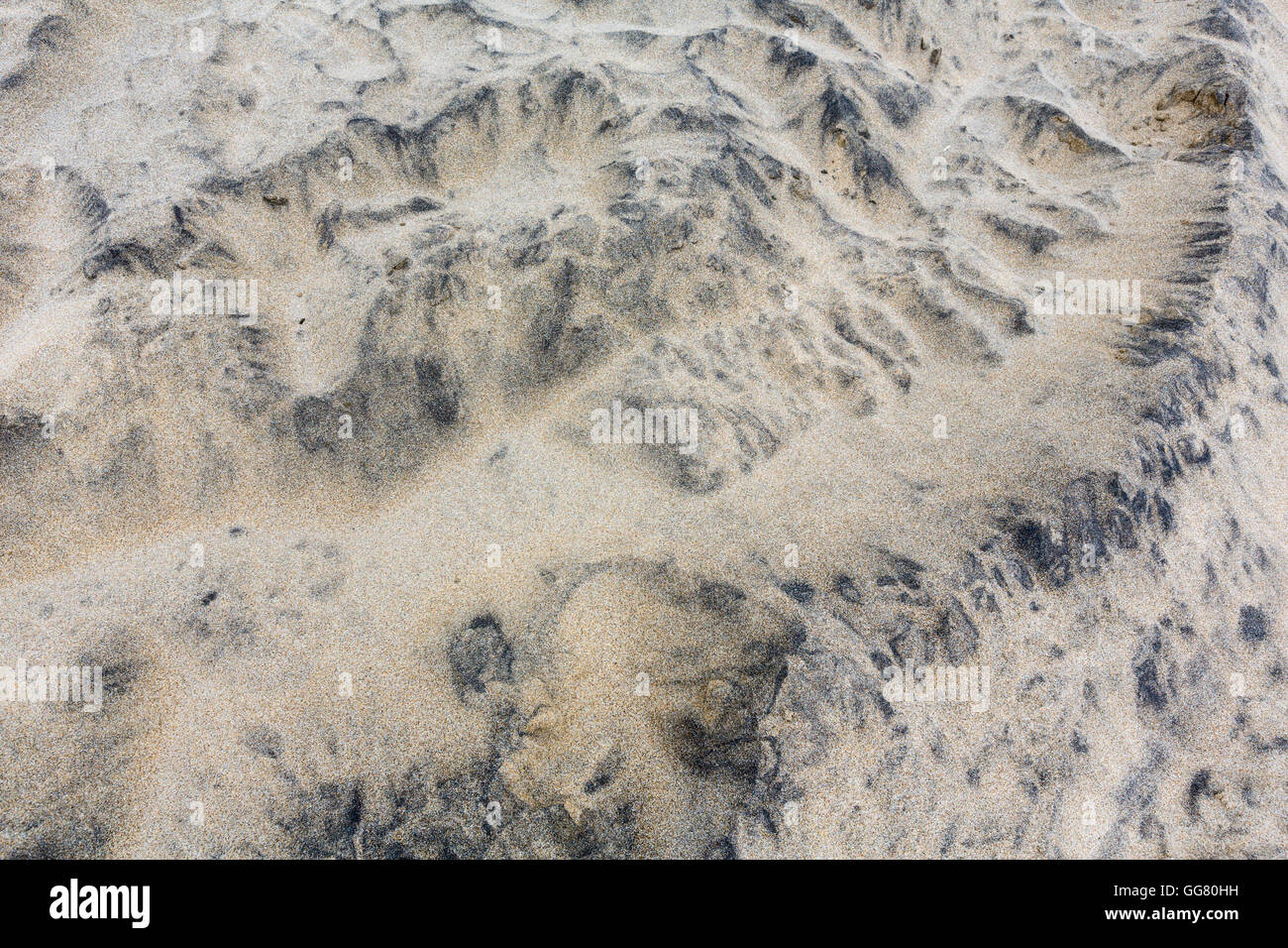 Gray stone (or part of rock) covered sand as abstract background with ...