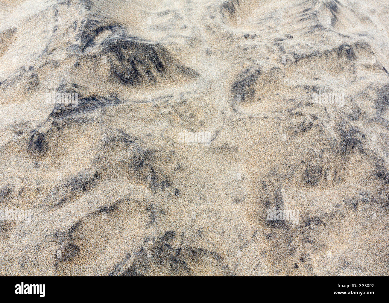 Gray stone (or part of rock) covered sand as abstract background with ...