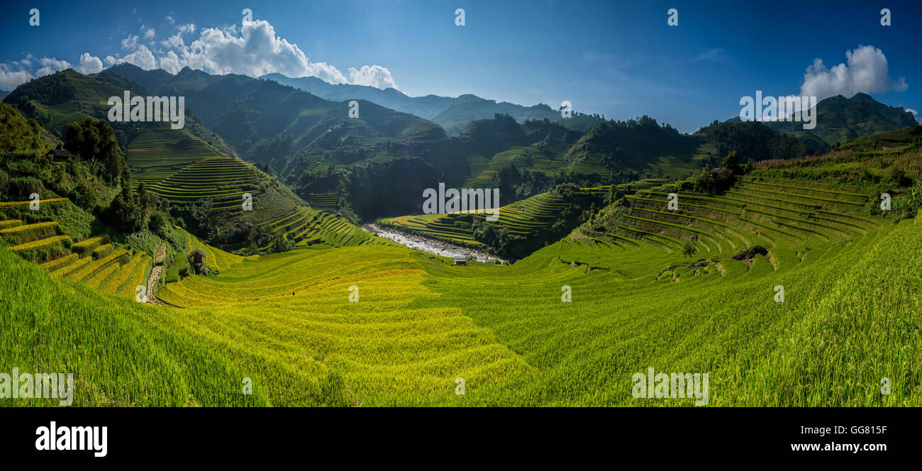 Rice fields on terrace in rainy season at Mu Cang Chai, Yen Bai ...