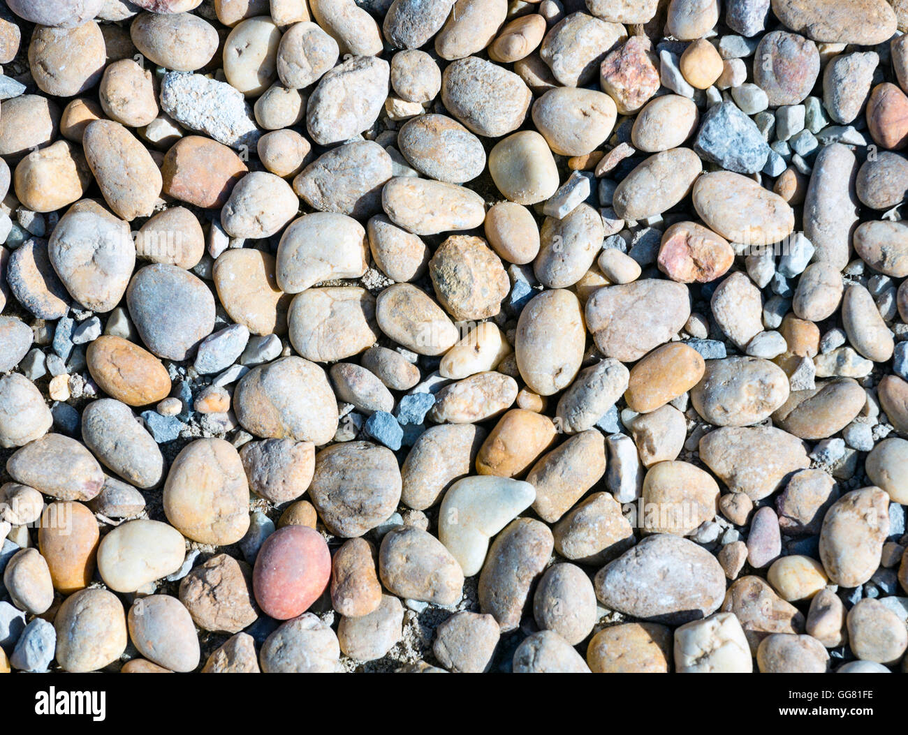 Colorful pebble closeup as abstract background Stock Photo - Alamy