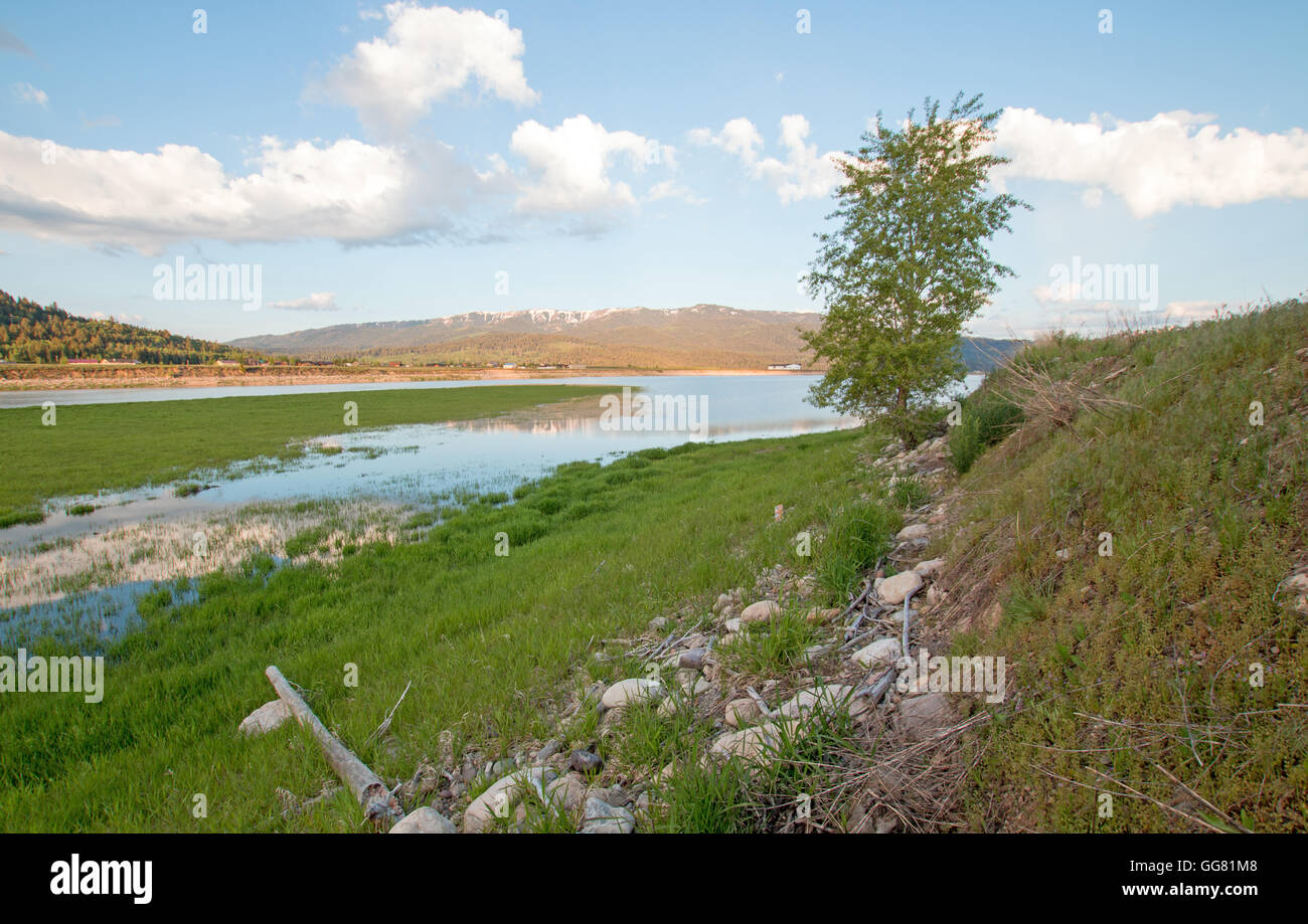 Grassy bank under hi-res stock photography and images - Alamy
