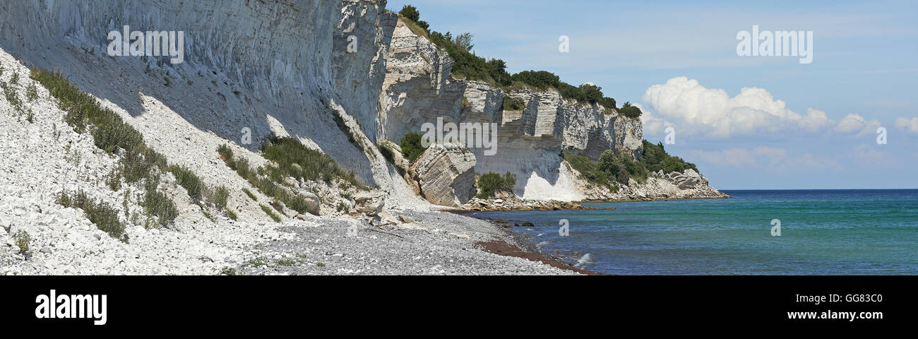 Panorama image of the beautiful stevns cliff in Denmark Stock Photo - Alamy