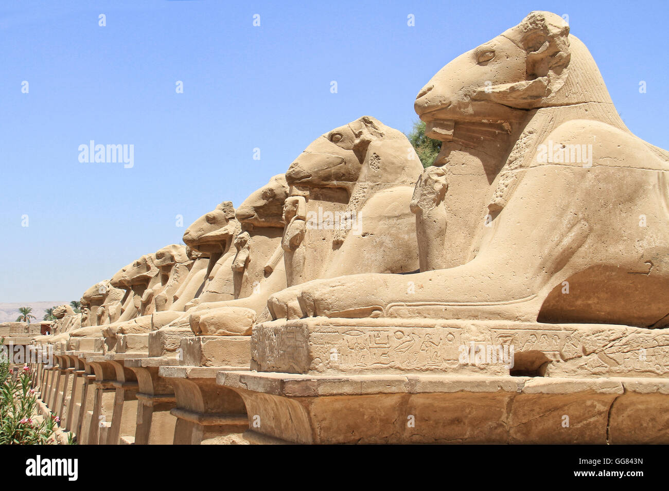 Karnak Temple in Luxor Stock Photo - Alamy