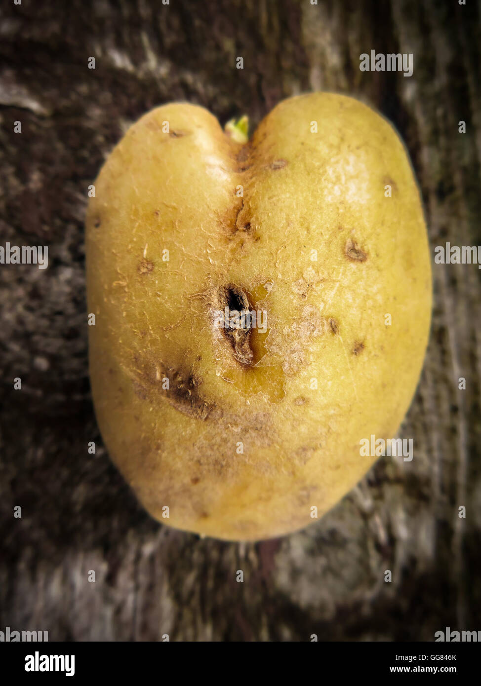 Potato on an old wooden table. Vertical image Stock Photo - Alamy