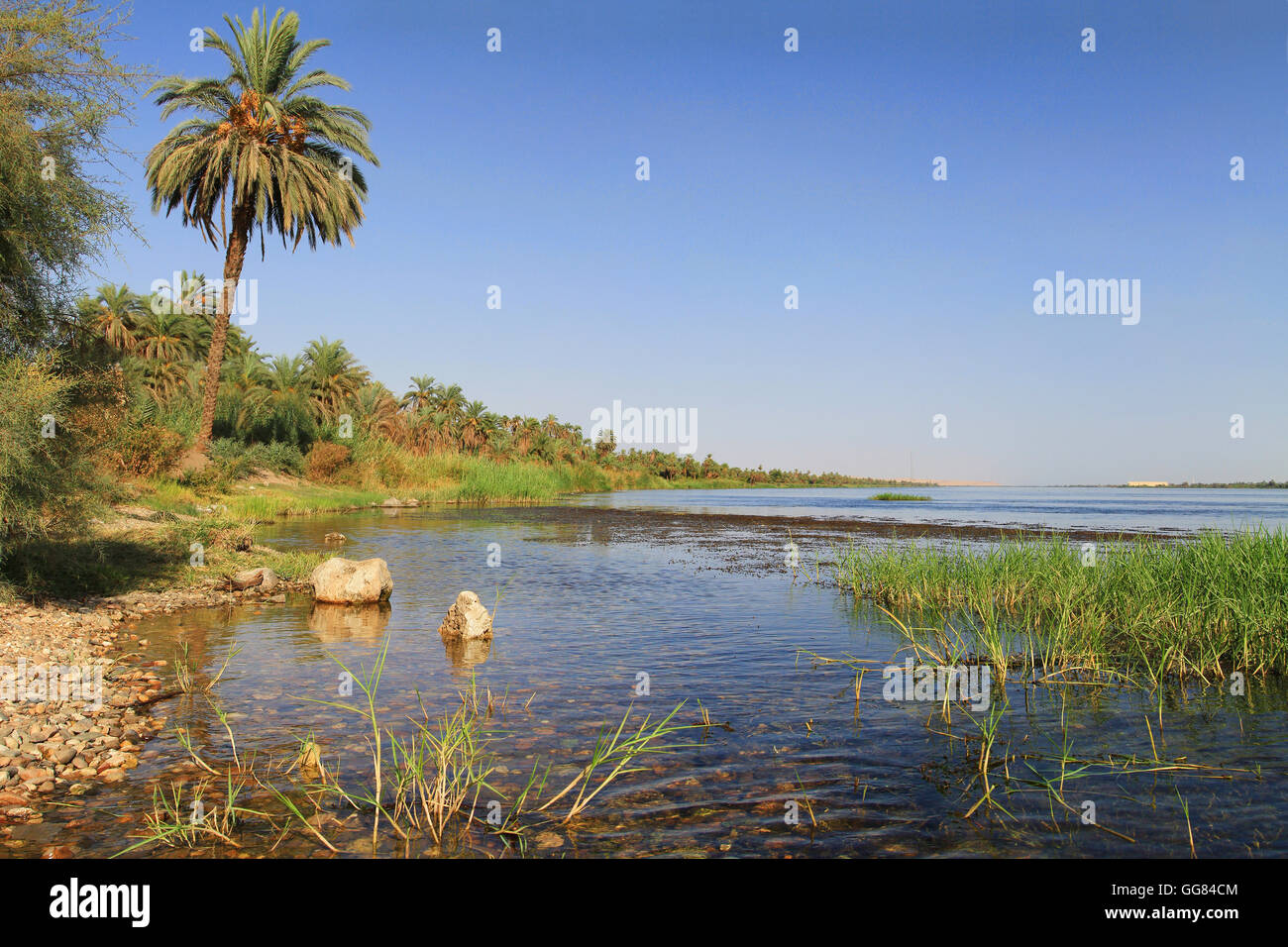 Egypt nile river desert tree house hi-res stock photography and images ...