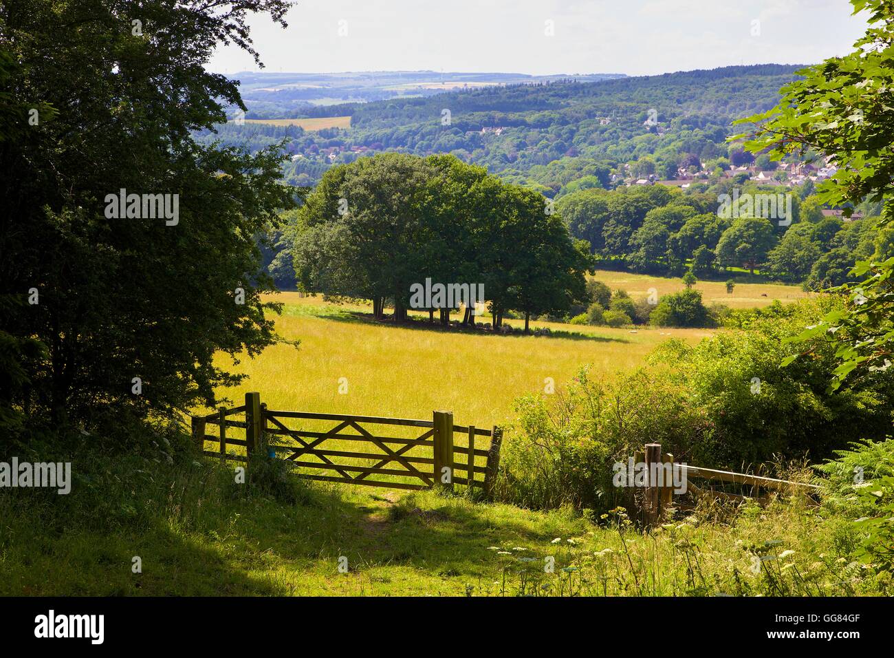 View from Gibside to Rowlands Gill. Gateshead, Tyne & Wear, England ...