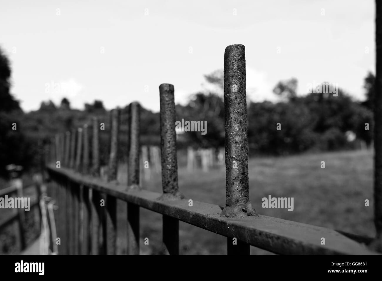 Black and white image metal railings in rural setting Stock Photo - Alamy