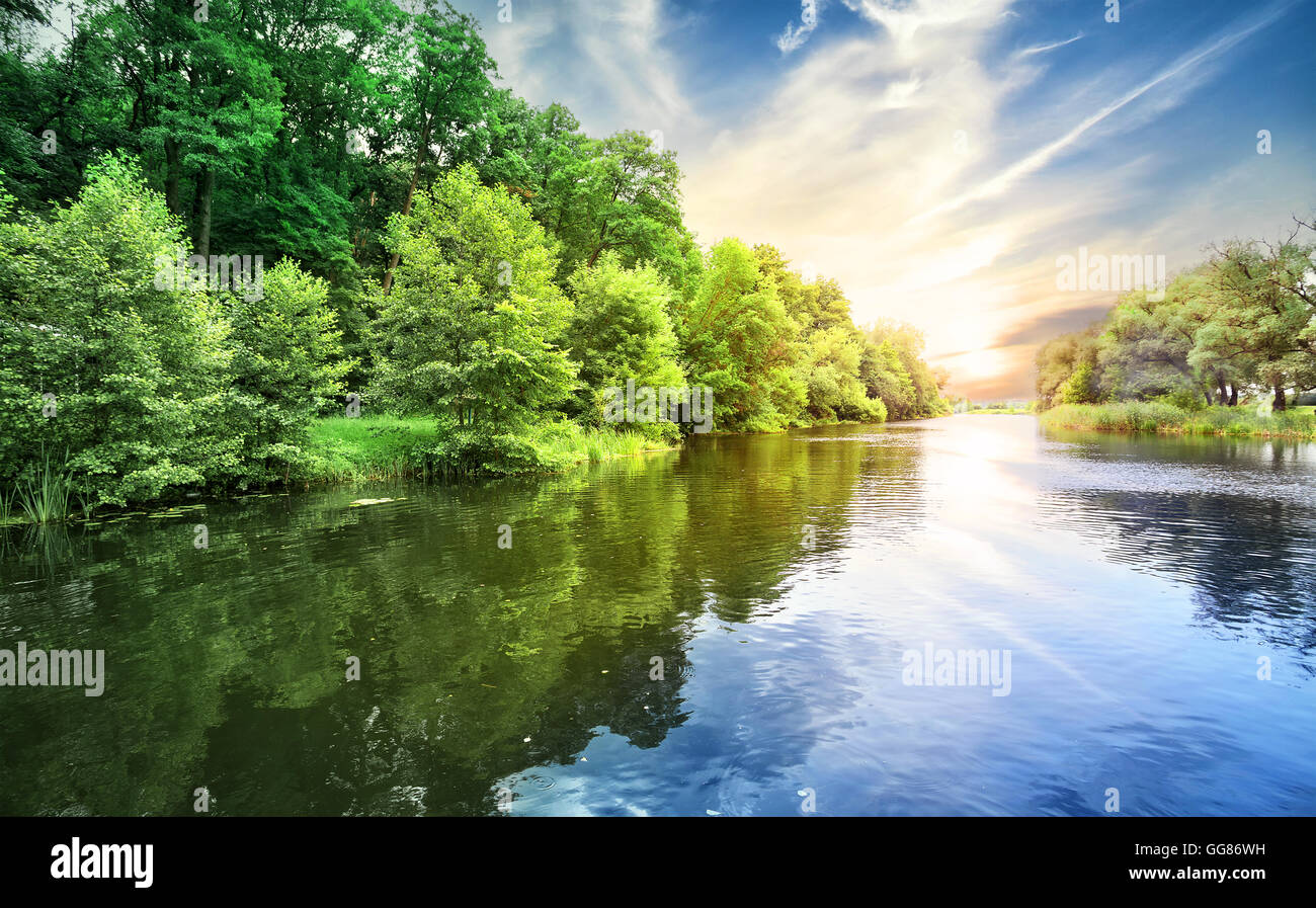 River with trees on the beach at sunset Stock Photo - Alamy