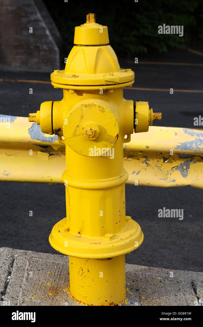 A fire hydrant in downtown St John's, Newfoundland, Canada. The hydrant ...