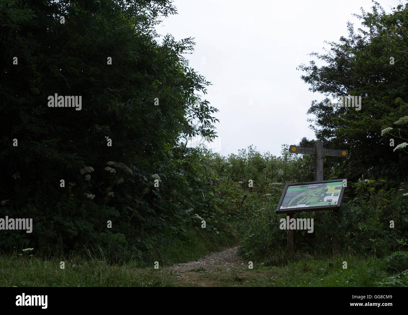 pathway with a map Stock Photo - Alamy