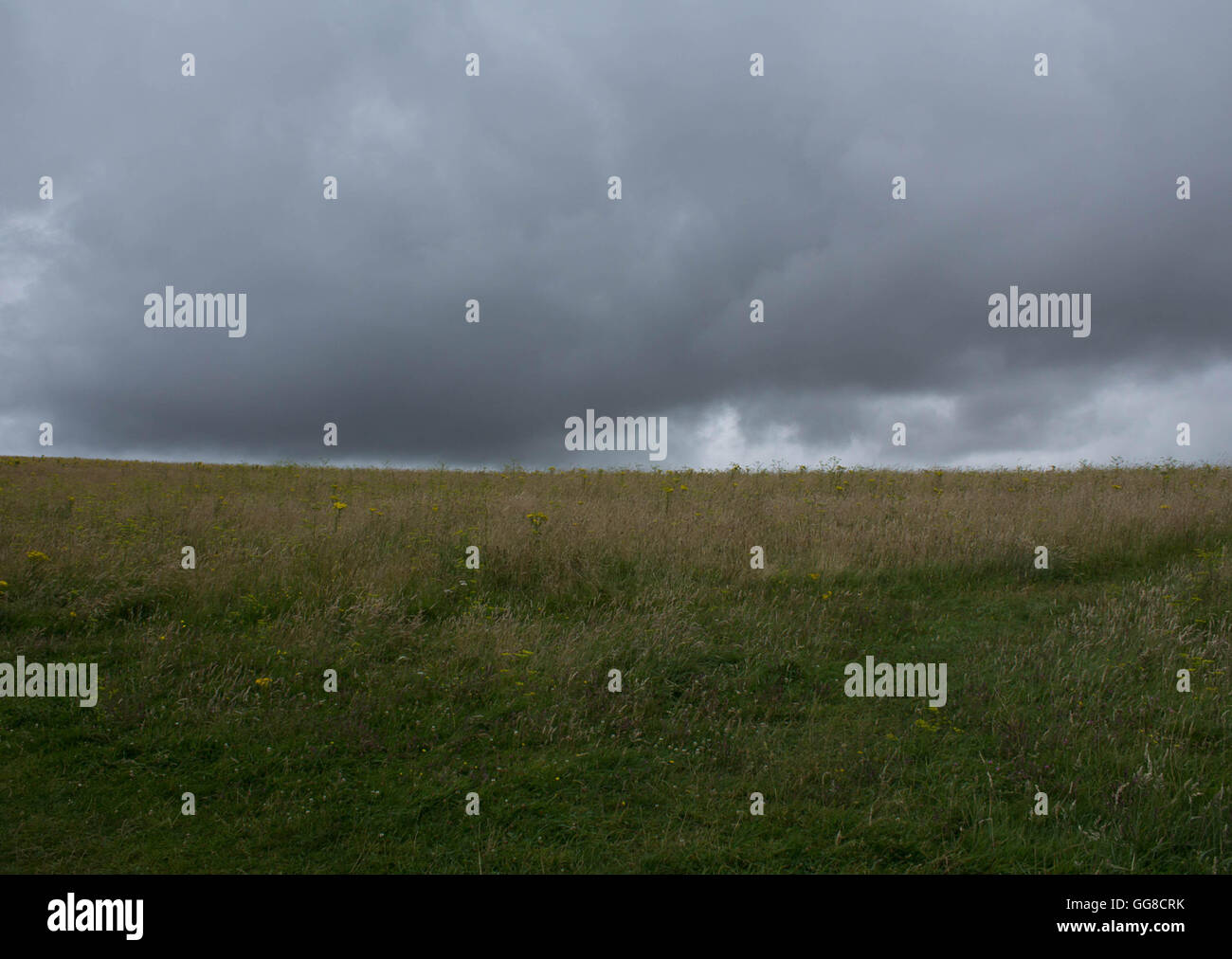 Field storm clouds hi-res stock photography and images - Alamy