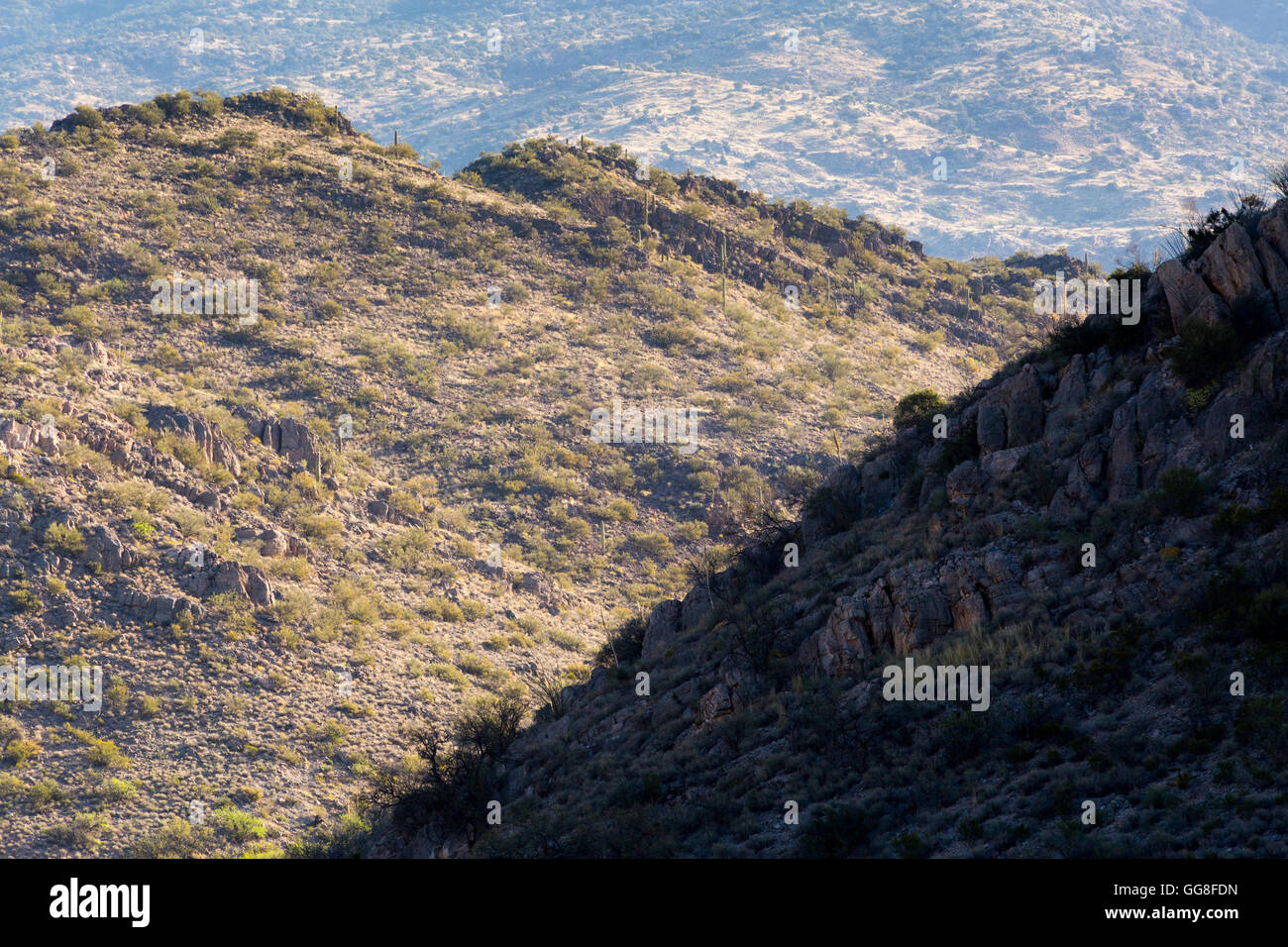 The Rincon Mountains gradually ascending higher and higher. Colossal ...