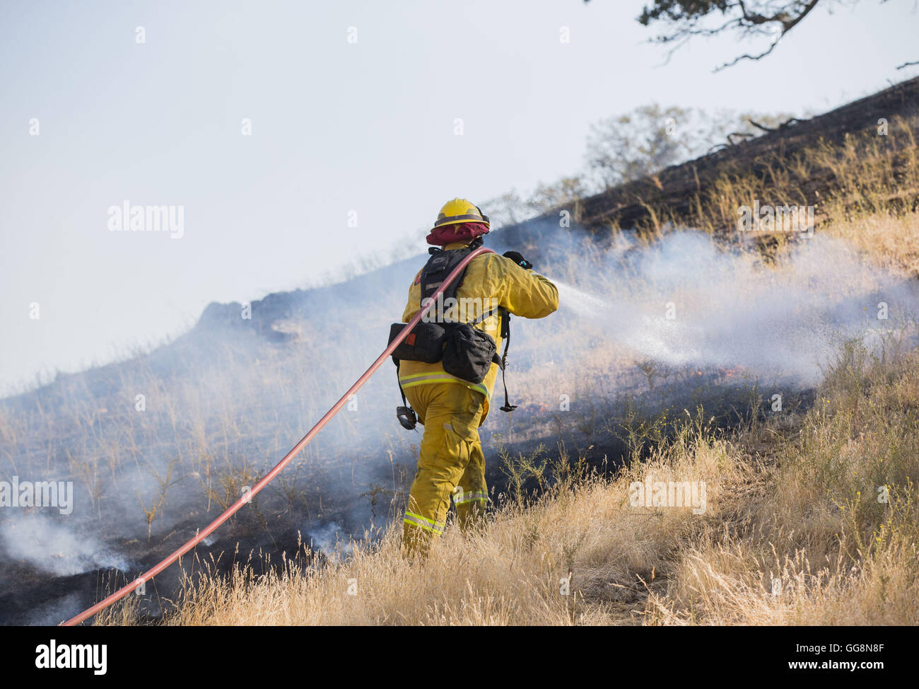 Diablo Grande, CA, USA. 3rd Aug, 2016. A CalFire firefighter works the ...