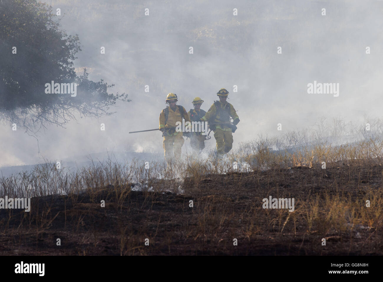 Diablo Grande, CA, USA. 3rd Aug, 2016. CalFire firefighters walk into ...