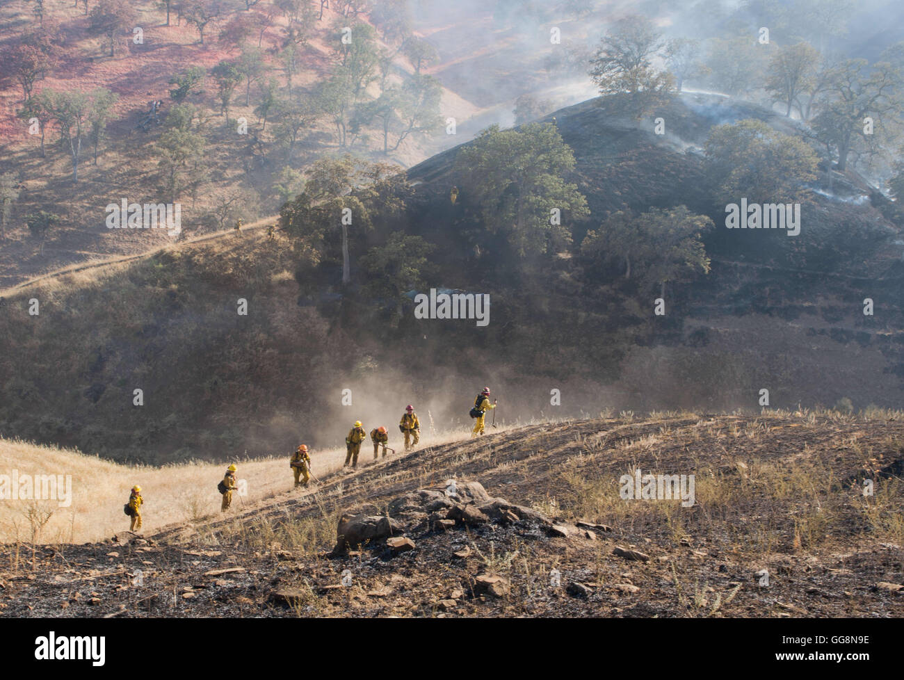 Diablo Grande, CA, USA. 3rd Aug, 2016. CallFire firefighters cut a fire ...