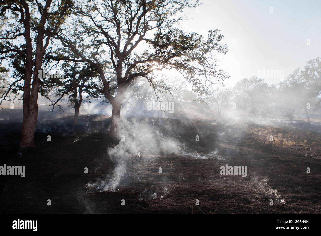 Diablo Grande, CA, USA. 3rd Aug, 2016. Diablo Fire in Diablo Grande CA ...