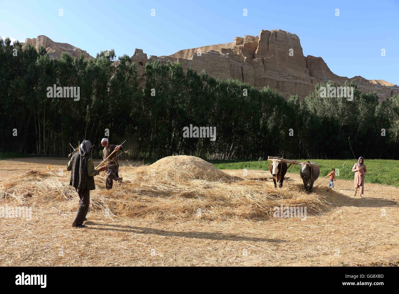 Bamyan, Afghanistan. 10th Aug, 2016. Afghan farmers work on their ...