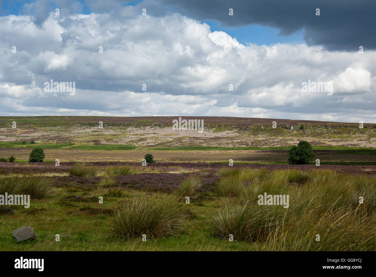 Beeley hi-res stock photography and images - Alamy