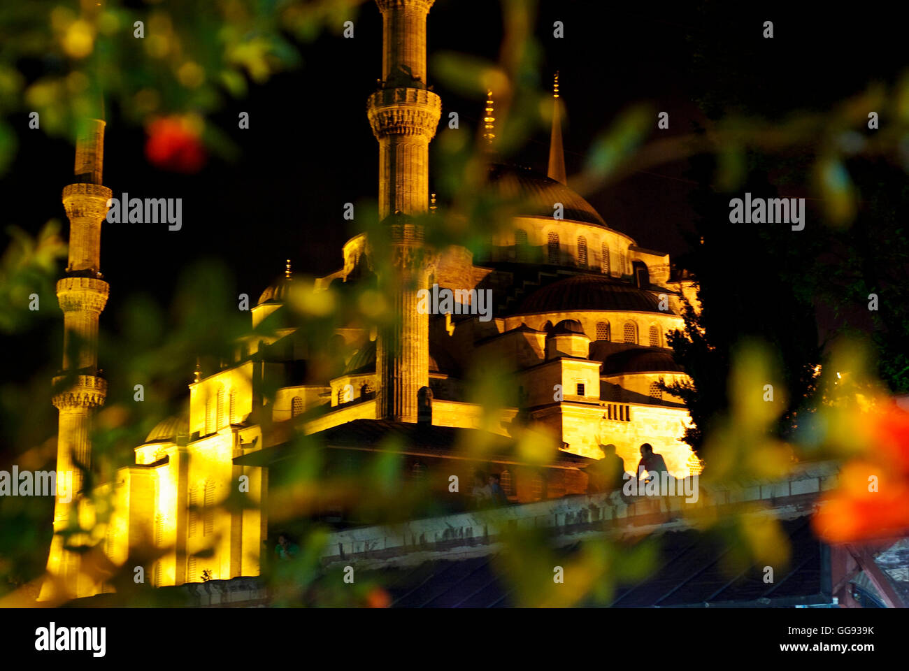 Istanbul, night view of the mosque from the park Stock Photo - Alamy