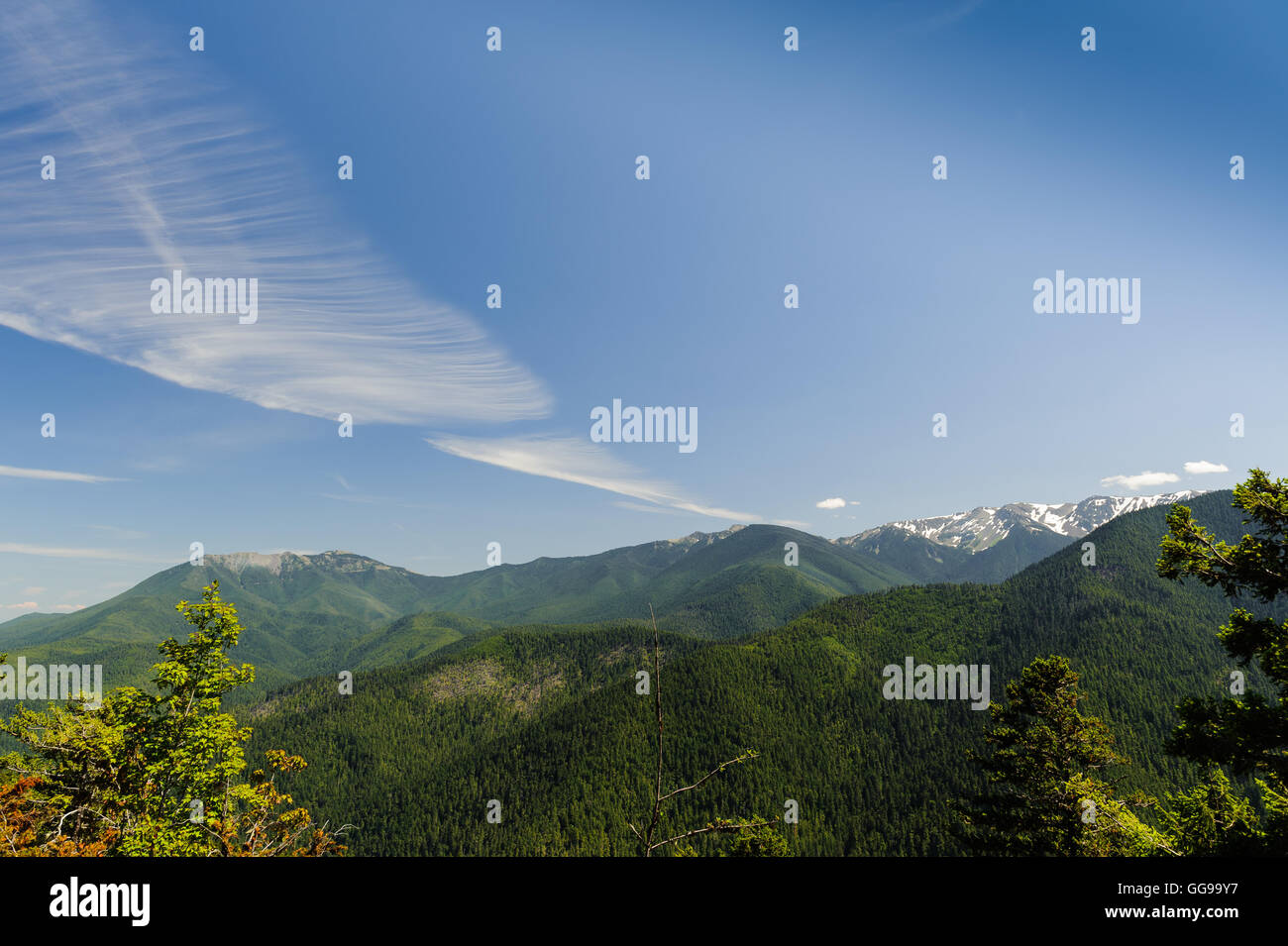 Hurricane Ridge mountains and glaciers with cloudscape in Olympic ...