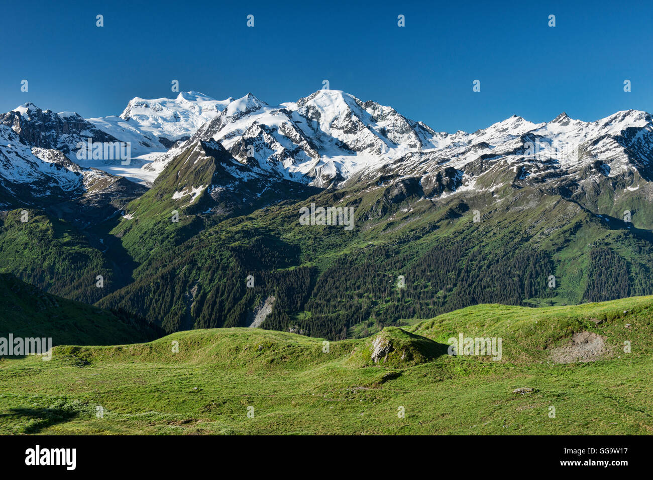 View of the Grand Combin Massif from Cabane Mont Fort on the Haute ...