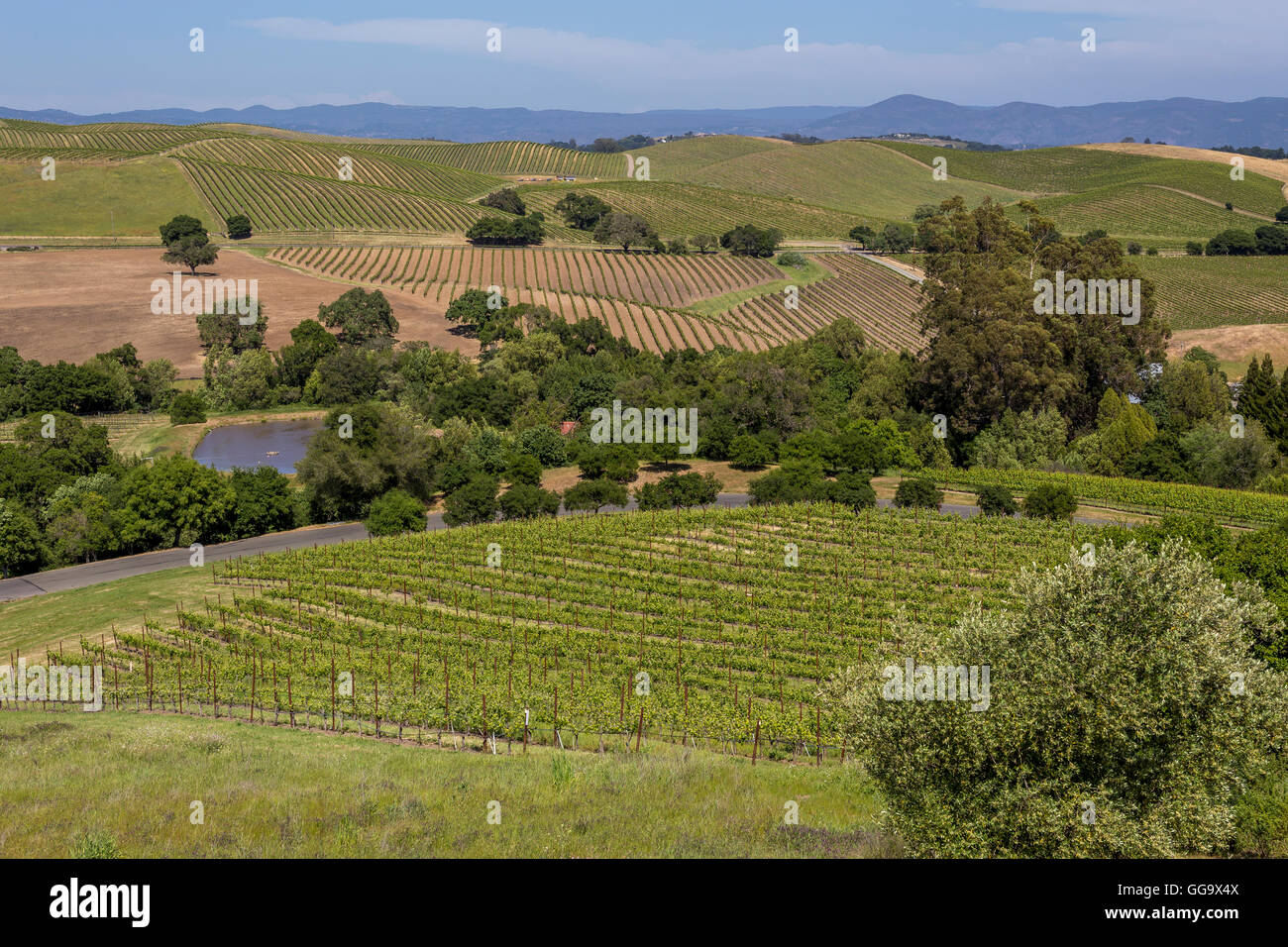 Los carneros region hi-res stock photography and images - Alamy