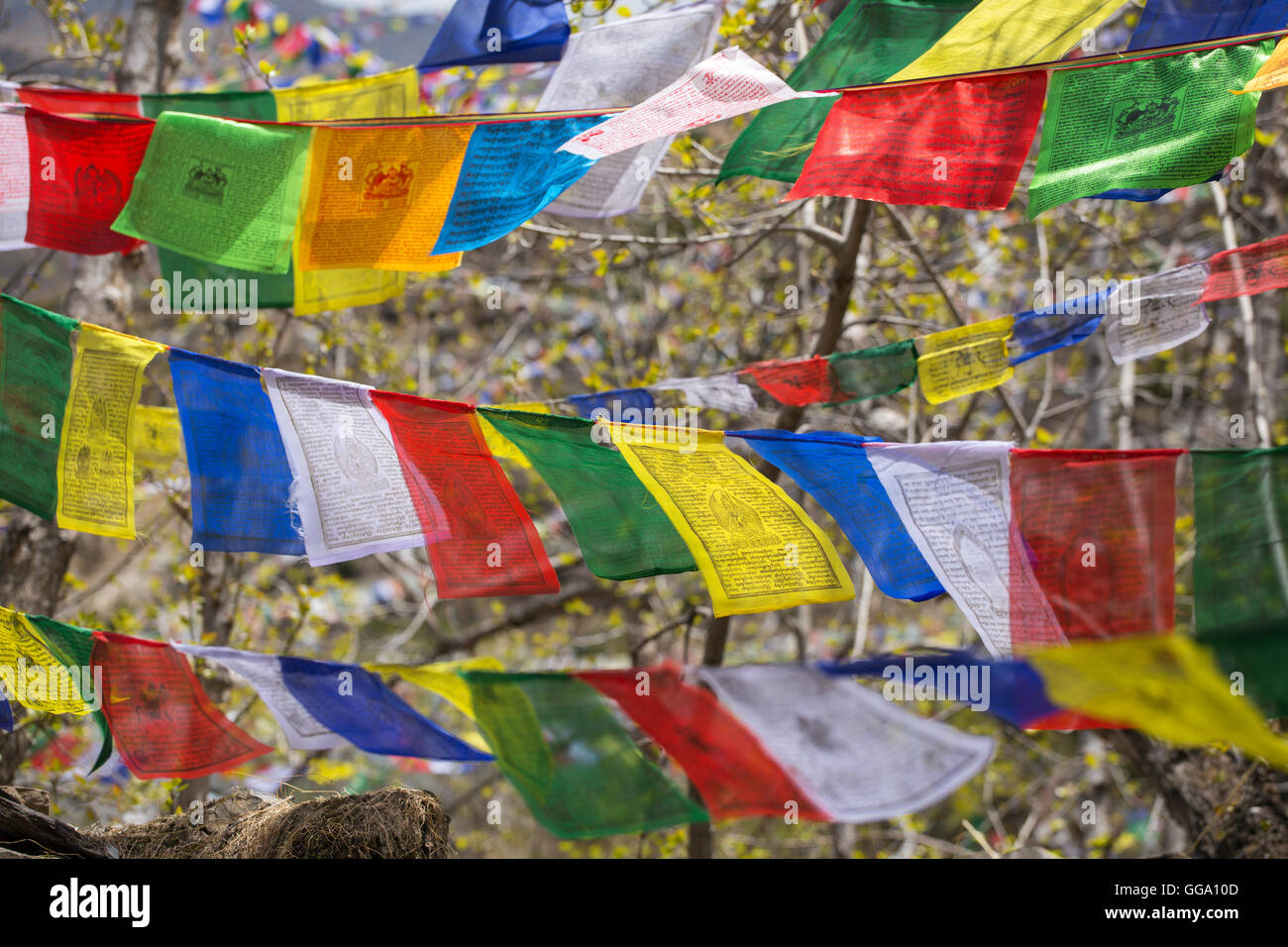 Buddhist praying flags in Nepal Stock Photo - Alamy