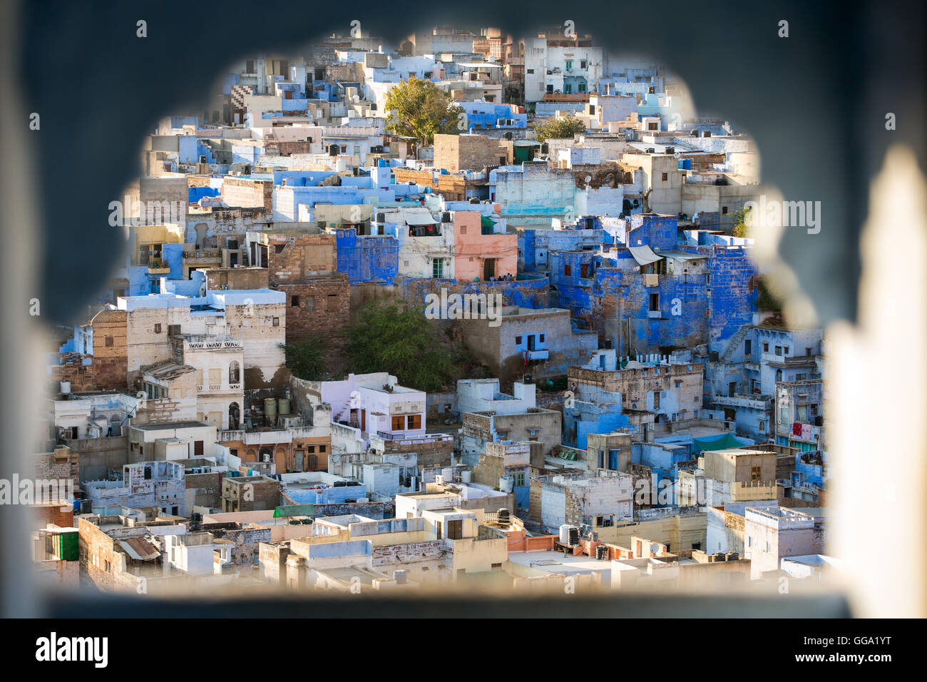 Jodhpur, the Blue City seen from Mehrangarh Fort, Rajasthan, India ...
