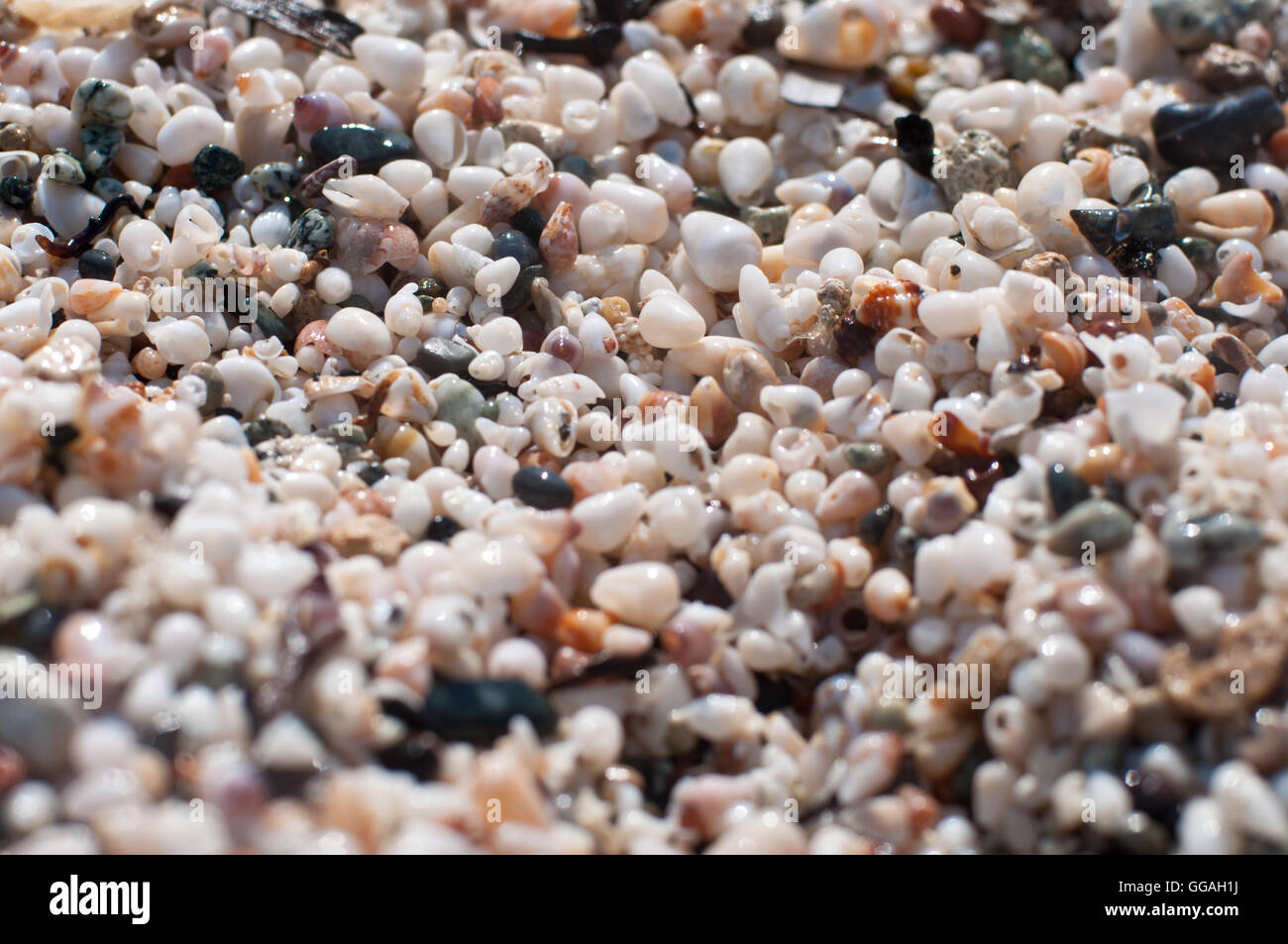 Beach sand closeup hi-res stock photography and images - Alamy