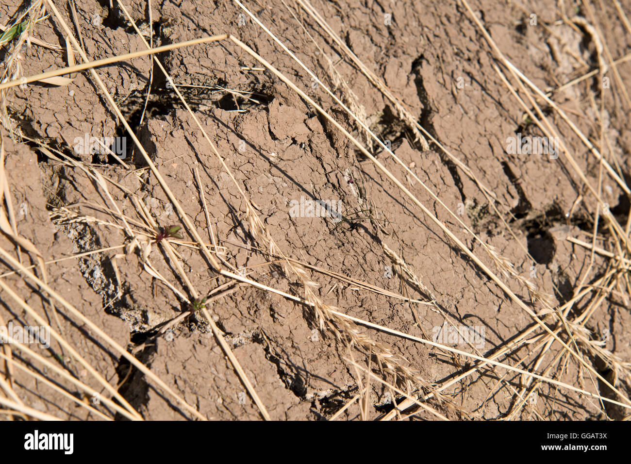 Soil terrain hi-res stock photography and images - Alamy