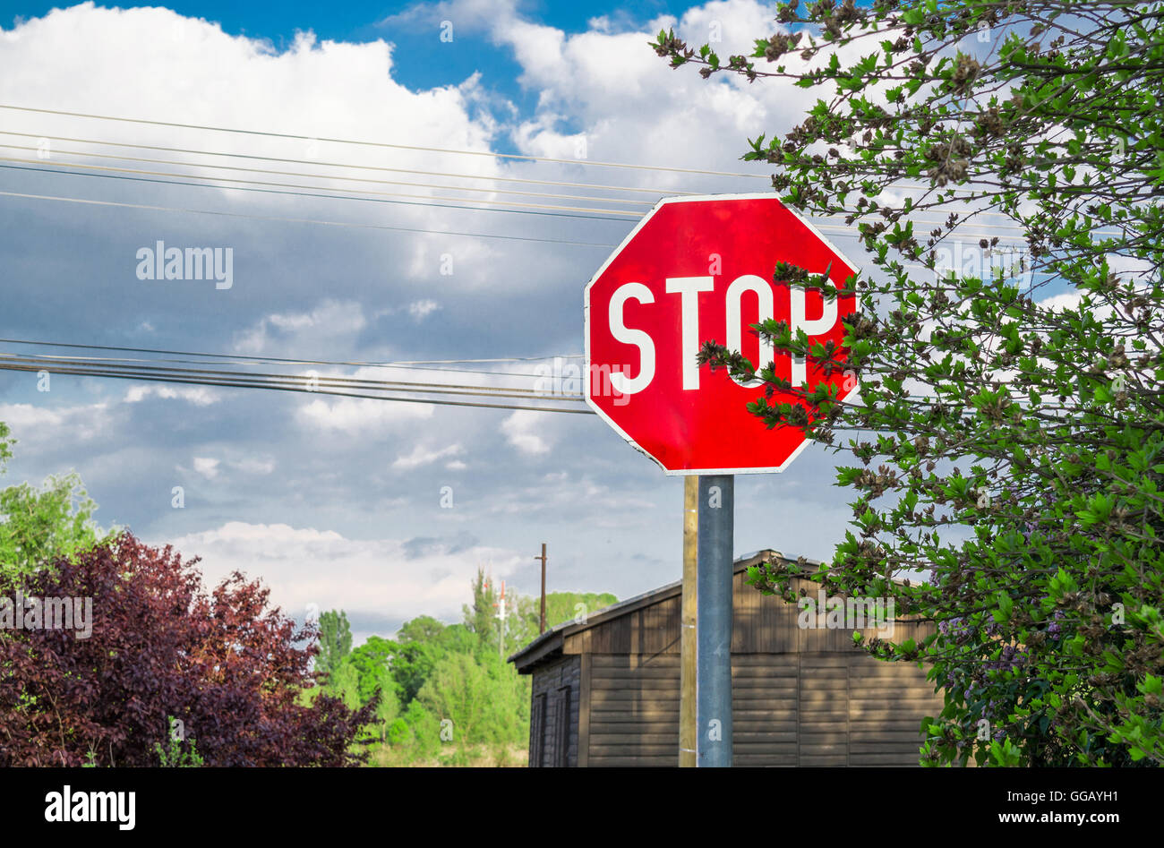 A stop traffic sign behind a tree Stock Photo - Alamy