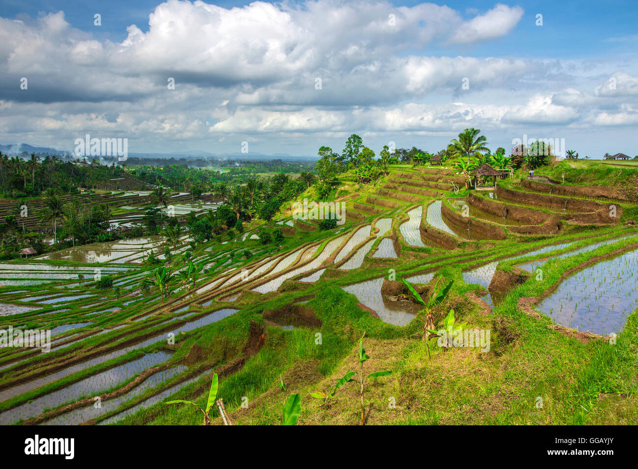 What to see in bali hi-res stock photography and images - Alamy