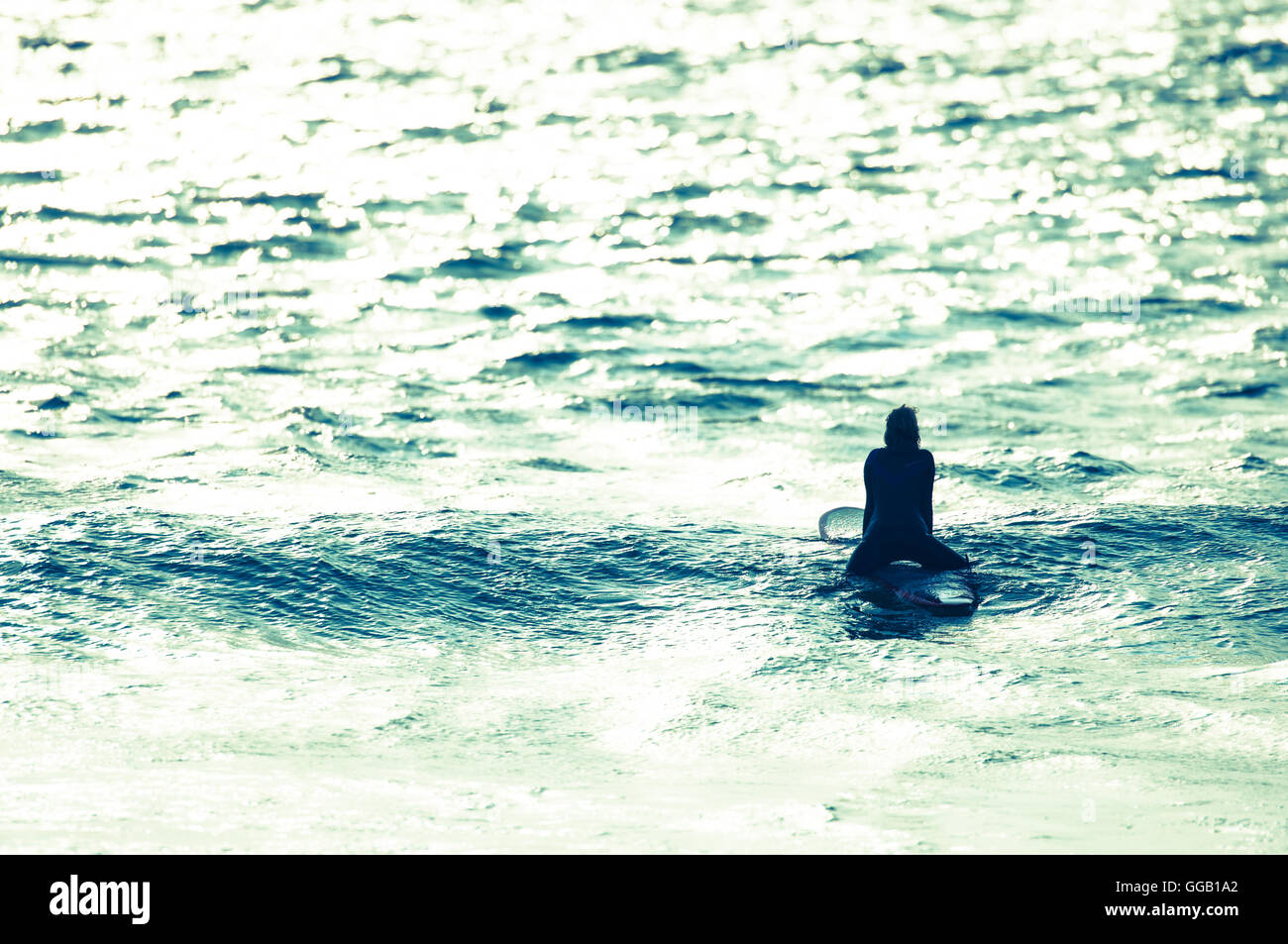 surfer sitting on board waiting for a wave Stock Photo - Alamy