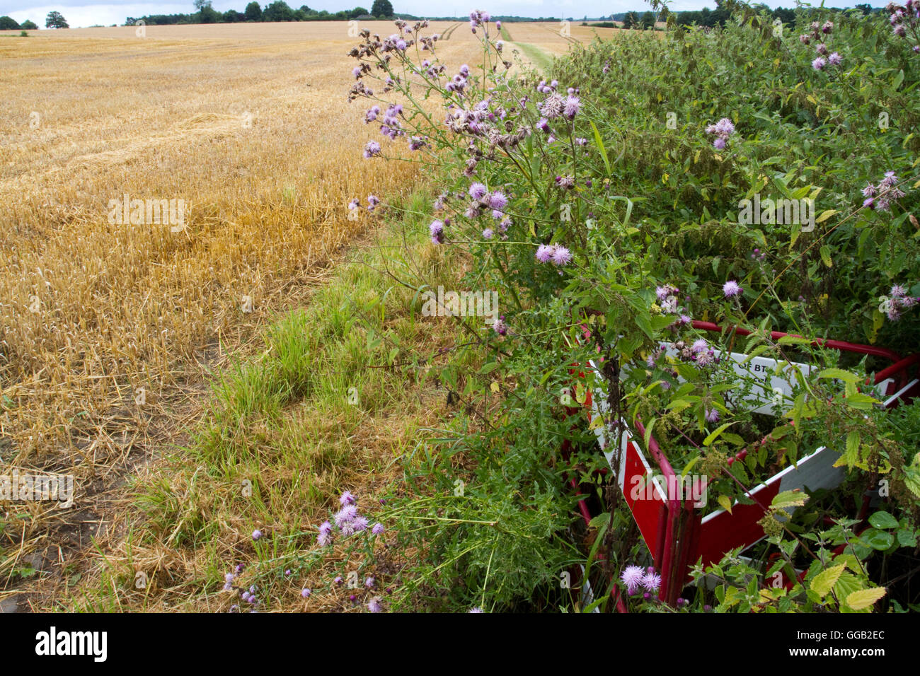 BT (British Telecom) hole in the ground forgotten about for a least ...