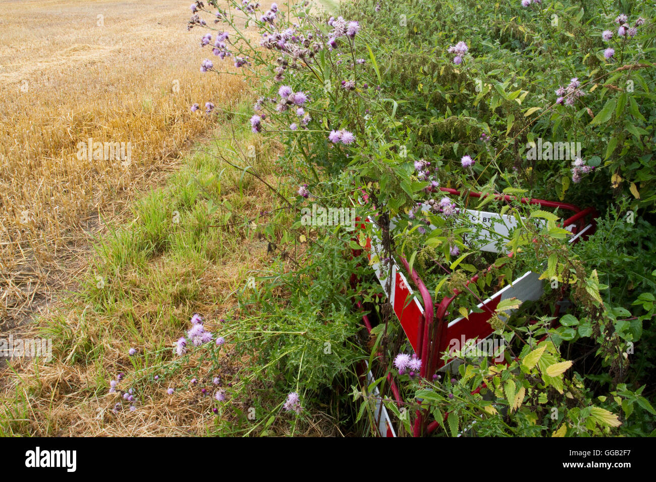 BT (British Telecom) hole in the ground forgotten about for a least ...