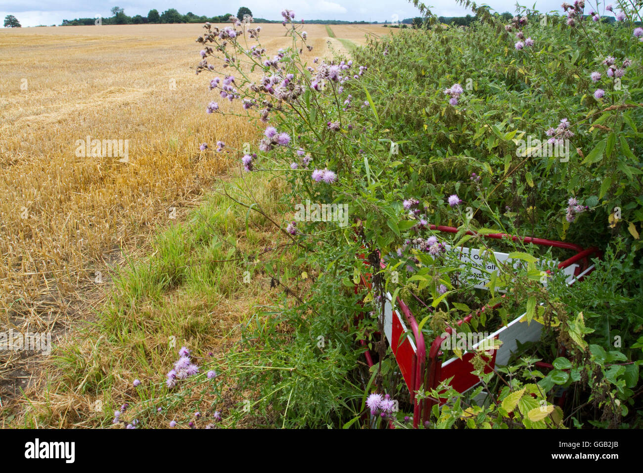 Side bt side hi-res stock photography and images - Alamy