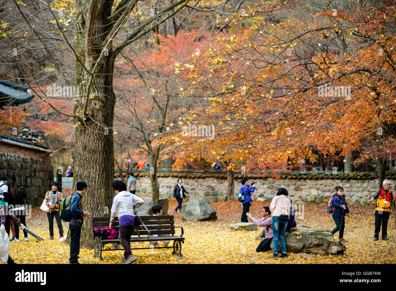 People frolic in the autumn leaves Stock Photo - Alamy