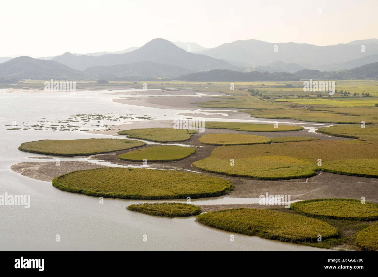 Wetland flora and fauna hi-res stock photography and images - Alamy