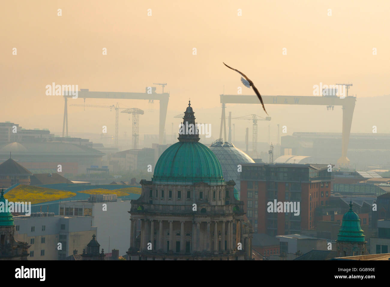 Stunning view over Belfast with the Harland and Wolff cranes, Samson ...