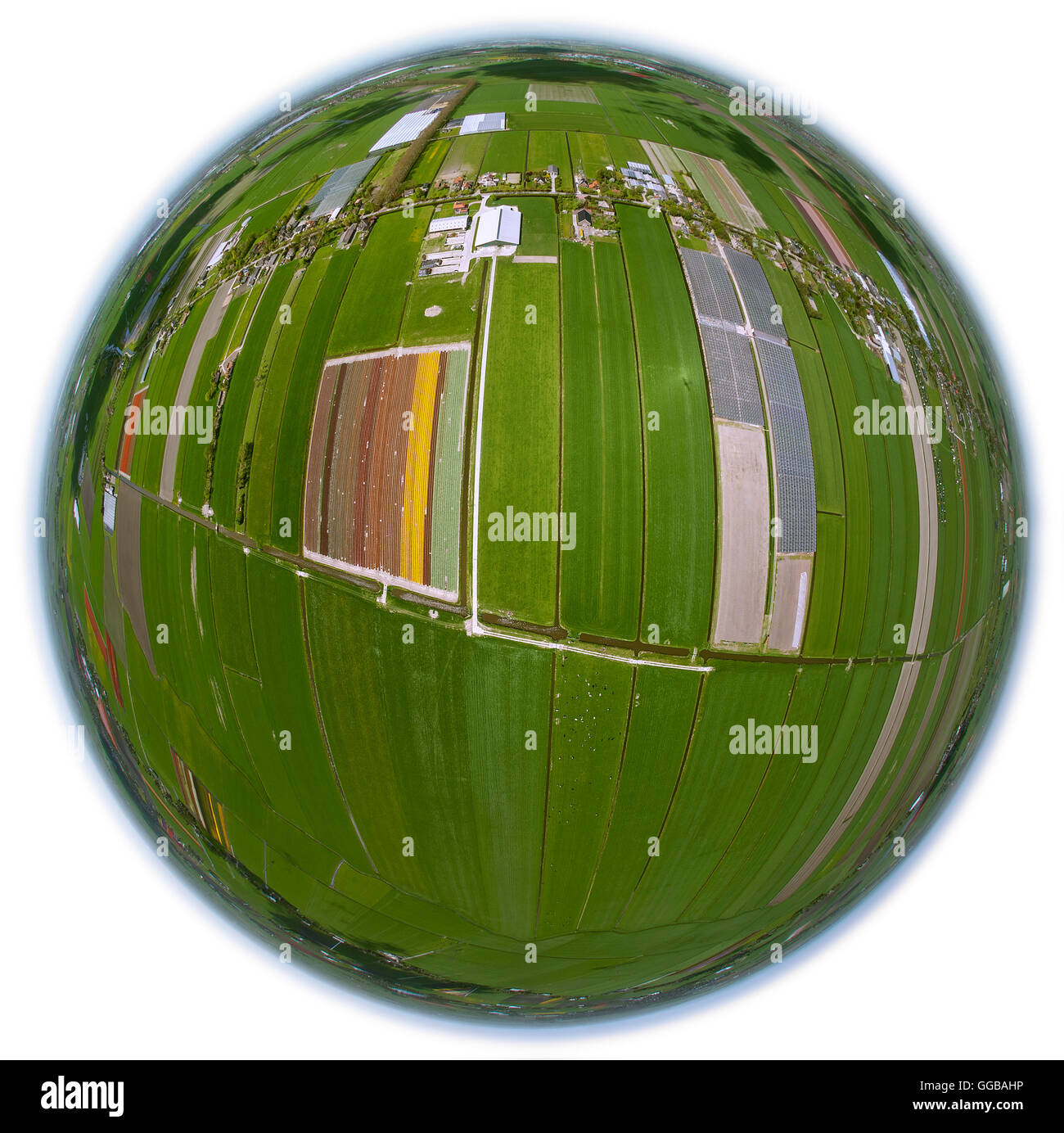 Aerial view of tulip fields hi-res stock photography and images - Alamy