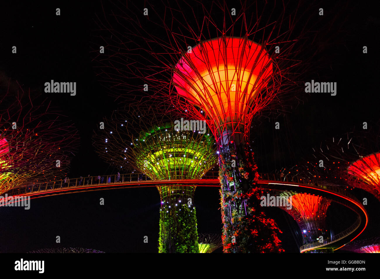 Night view of supertree gr hi-res stock photography and images - Alamy