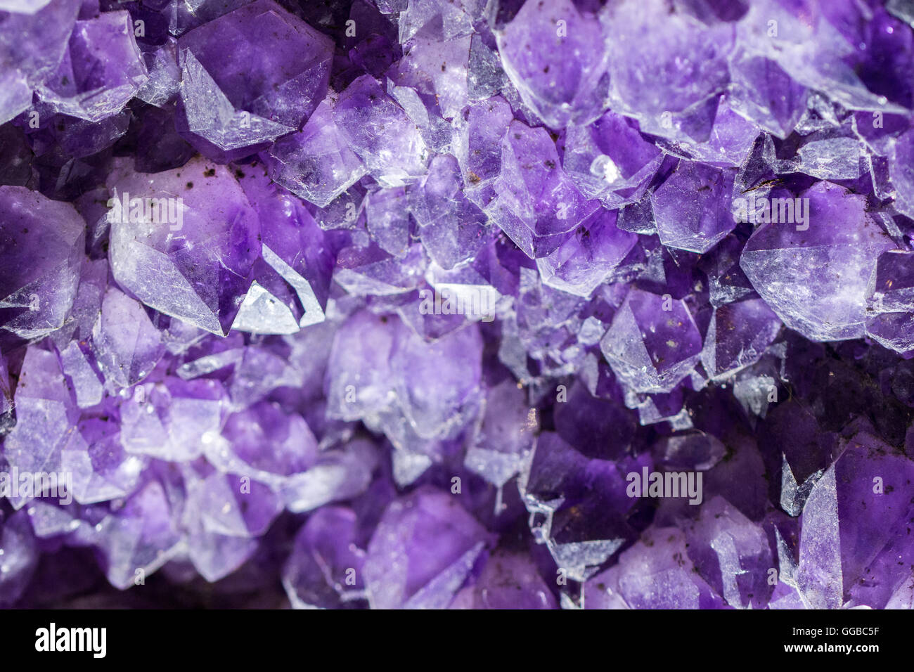 purple black Crystals growing seen in Singapore 2016 Stock Photo - Alamy